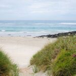 Great Ocean Road and 12 Apostles Tour - What’s Included and What’s Not