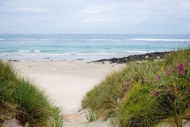 Great Ocean Road and 12 Apostles Tour - What’s Included and What’s Not