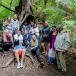 Great Ocean Road and Grampians 2 Day Short Break Escape from Melbourne - What Makes This Tour Truly Valuable?