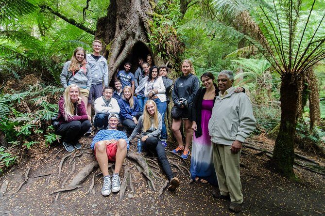 Great Ocean Road and Grampians 2 Day Short Break Escape from Melbourne - What Makes This Tour Truly Valuable?