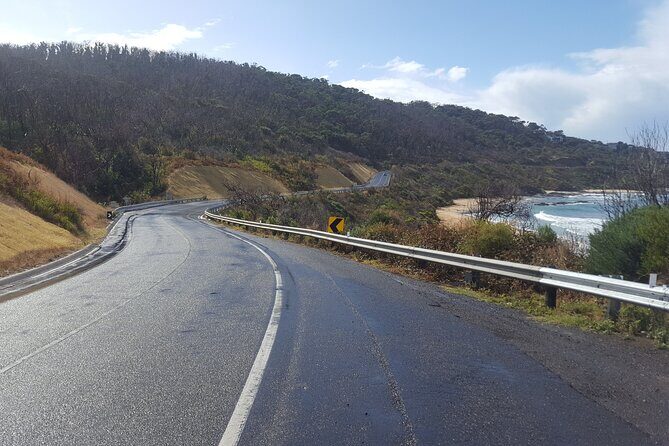 Great Ocean Road In 8 Hours Express Private Tour - What We Like and What to Consider