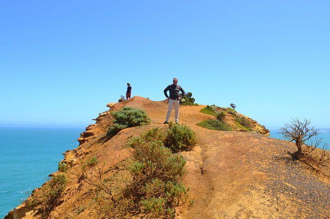 Great Ocean Road - Private Discovery Tour - Who Should Consider This Tour?
