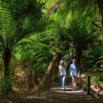 Great Ocean Road Private Tour - Detailed Breakdown of the Itinerary