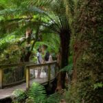 Great Ocean Road to Grampians 2 Day 1 Night Tour from Melbourne to Adelaide - Value for Money and Overall Experience