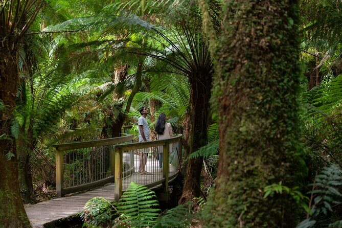Great Ocean Road to Grampians 2 Day 1 Night Tour from Melbourne to Adelaide - Value for Money and Overall Experience