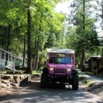Great Smoky Mountains: Elkmont Historic District Tour - The Sum Up: Why This Tour Might Be a Great Choice