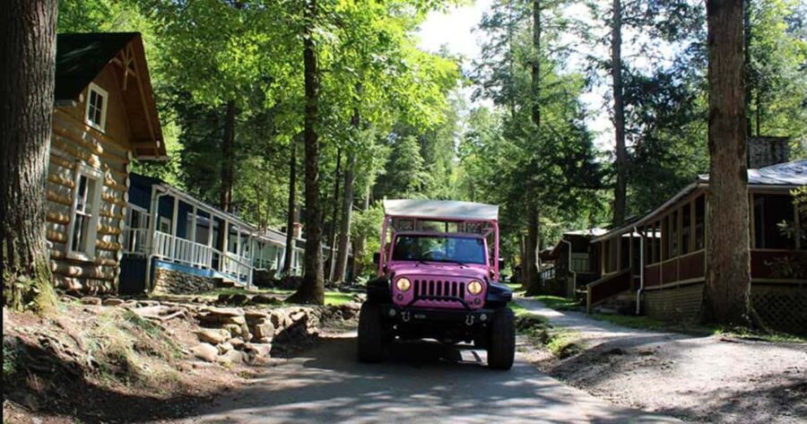 Great Smoky Mountains: Elkmont Historic District Tour - The Sum Up: Why This Tour Might Be a Great Choice