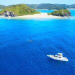 Great Whale Watching at Kerama Islands and Zamami Island - Who Should Consider This Tour?