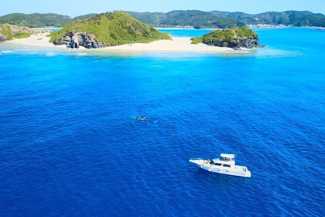 Great Whale Watching at Kerama Islands and Zamami Island - Who Should Consider This Tour?