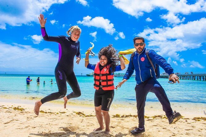 Green Island Day Trip from Cairns with Beaches Transfers - The Green Island Experience: What You Can Expect