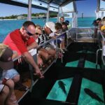 Green Island Half-Day Trip from Cairns - Frequently Asked Questions