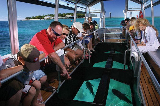 Green Island Half-Day Trip from Cairns - Frequently Asked Questions