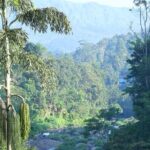 Green Magic Day Tour to Munnar - Who Is This Tour Best For?