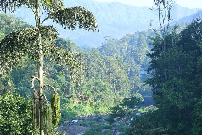Green Magic Day Tour to Munnar - Who Is This Tour Best For?