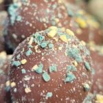Greenwich Village: Pizza, Desserts & History Food Tour - What You Can Expect