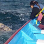 Grey Whale Watching at Mag Bay From Loreto - Whale Watching at Mag Bay: Two Hours of Marine Magic