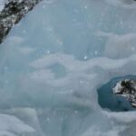 Greymouth: Glacier, Heritage & Wildlife Centre Guided Tour - What to Expect and Practicalities
