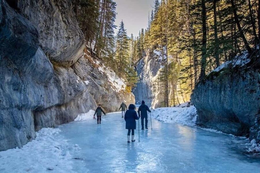 Grotto Canyon Ice Walk with Indigenous Pictographs - Practical Tips for Your Grotto Canyon Ice Walk