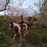 Group Tour of Holbox Island, Quintana Roo - Authenticity and Traveler Perspectives