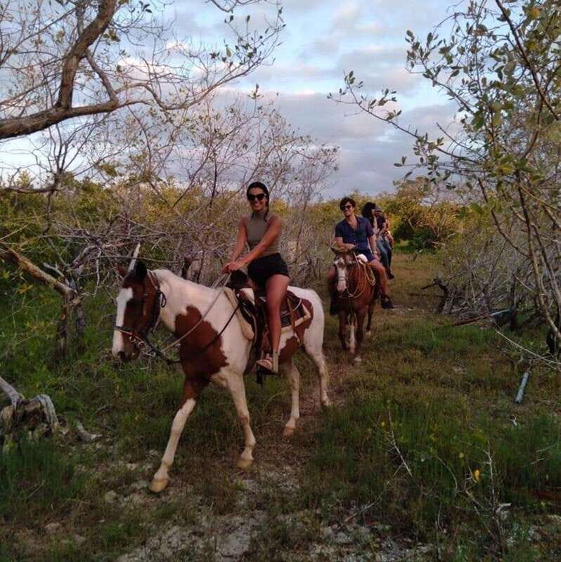 Group Tour of Holbox Island, Quintana Roo - Authenticity and Traveler Perspectives