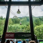 Grouse Mountain, Capilano Bridge & Fish Hatchery Tour - Analyzing the Value & Practicality