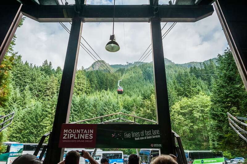Grouse Mountain, Capilano Bridge & Fish Hatchery Tour - Analyzing the Value & Practicality