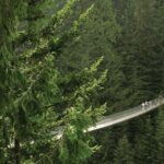 Grouse Mountain & Capilano Bridge Tour with Fish Hatchery - Practical Tips for Visitors