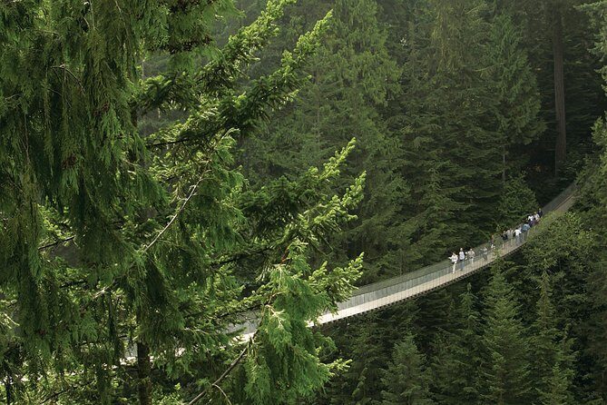 Grouse Mountain & Capilano Bridge Tour with Fish Hatchery - Practical Tips for Visitors