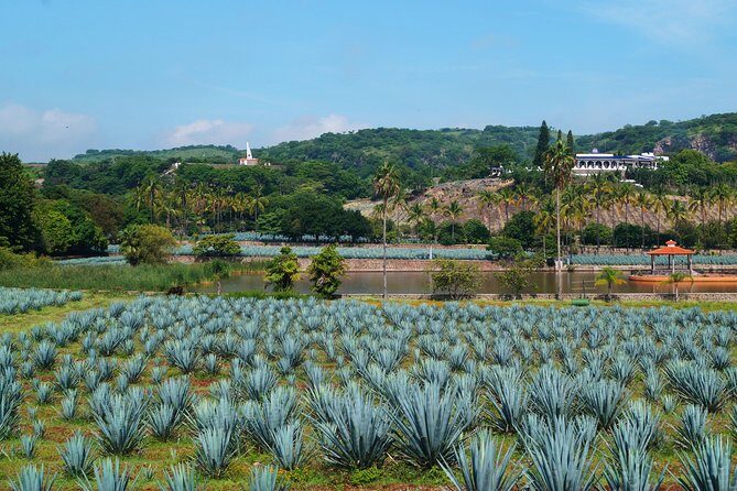 Guachimontones Archaeological Site & Tequila Town PRIVATE TOUR - Exploring Guachimontones: A UNESCO World Heritage Treasure