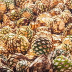 Guadalajara: Lake Chapala and Ajijic Day Trip with Boat Trip - What Works Well