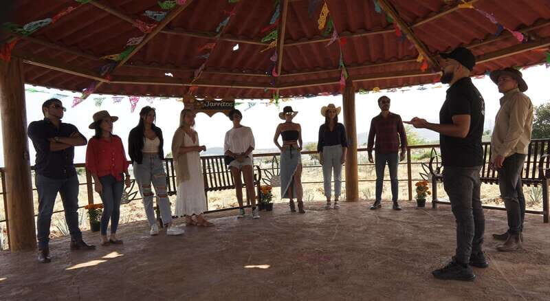 Guadalajara: Premium Tequila Tour with Tastings and Pairings - The Exciting Itinerary in Detail