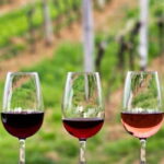 Guadalupe Valley: Complete Wine Route - An Honest Look at the Guadalupe Valley: Complete Wine Route