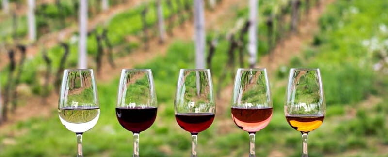 Guadalupe Valley: Complete Wine Route - An Honest Look at the Guadalupe Valley: Complete Wine Route