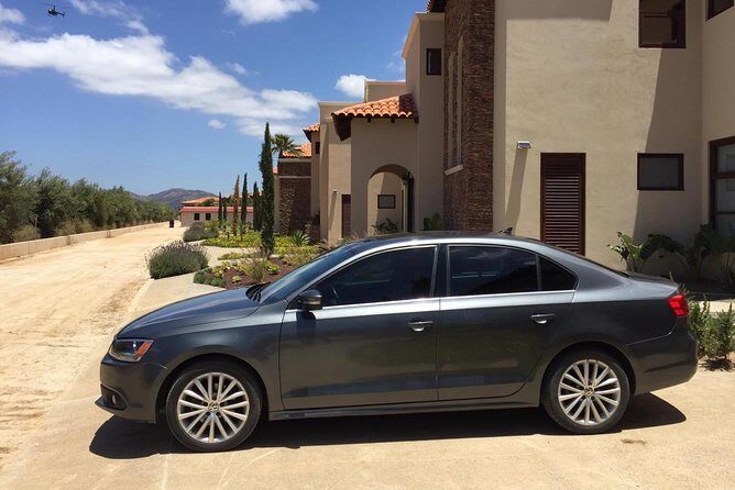 Guadalupe Valley Private Driver Tour - Authentic Experiences and Practical Details