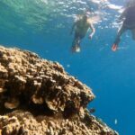 Guam's 5 Star Guided Snorkeling Tour! - Practical Details That Matter