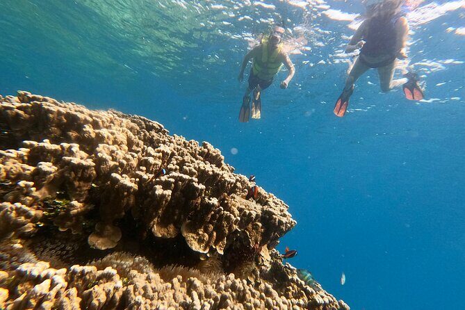 Guam's 5 Star Guided Snorkeling Tour! - Practical Details That Matter