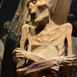 Guanajuato: Culture & History Private Guided Tour - Day Trip - Why This Tour Offers Real Value
