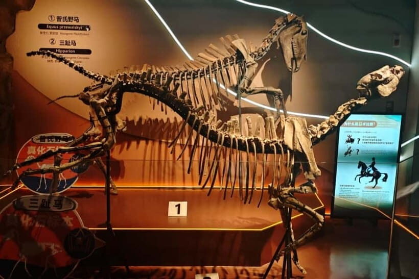 Guangzhou: Grandview Museum of Nature Science Ticket - An In-Depth Look at Guangzhou’s Grandview Museum of Nature Science