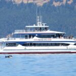 Guaranteed Whale Watch Tour from Anacortes - Practical Tips for Travelers