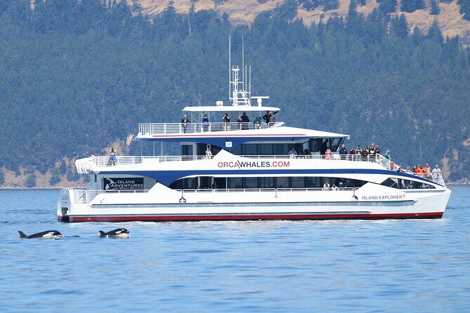 Guaranteed Whale Watch Tour from Anacortes - Practical Tips for Travelers