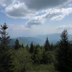 Guided Art Adventure Hikes in Great Smoky Mountains Natl Park - An In-Depth Look at the Guided Art Adventure Hikes