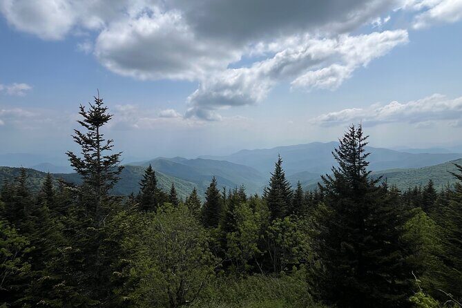 Guided Art Adventure Hikes in Great Smoky Mountains Natl Park - An In-Depth Look at the Guided Art Adventure Hikes