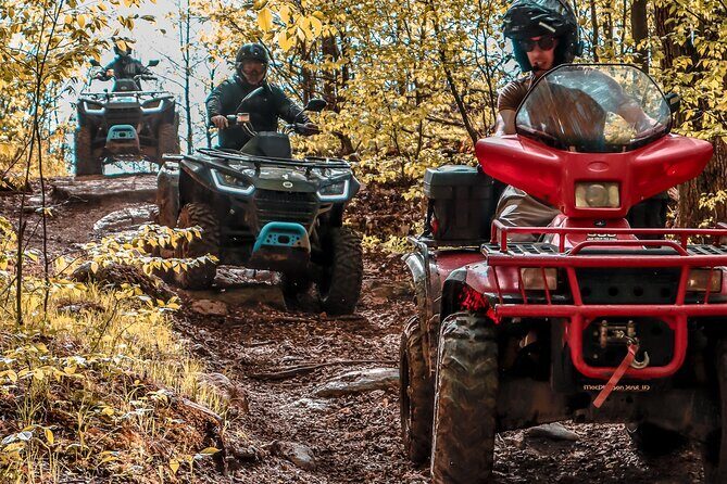 Guided ATV Adventure Tours in Kaladar - Who Should Consider This Tour?