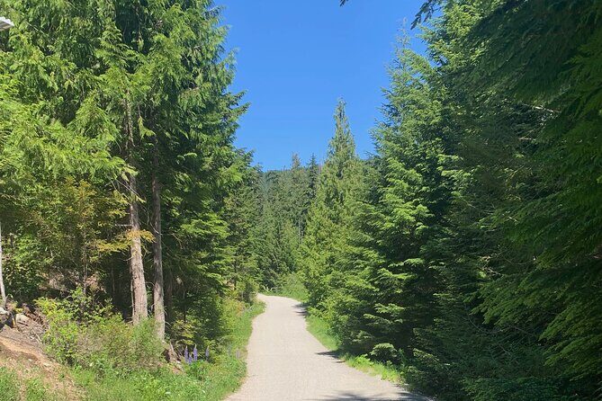 Guided Bike /E-bike Tour in Whistler From Vancouver - The Ride: A Balance of Comfort and Adventure