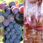 Guided Bike Tour on Historical Kettle Valley Railway at Myra Canyon & Wine Tour - Exploring the Myra Canyon Bike Route