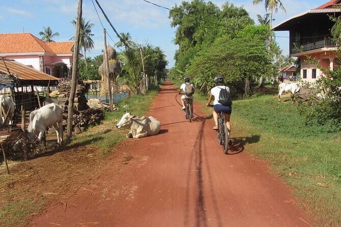 Guided Countryside Bike Tour with Local Insights - Practical Details and Tips