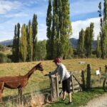 Guided eBike Wine Tour Ride to the Vines - The Itinerary: A Closer Look at What to Expect