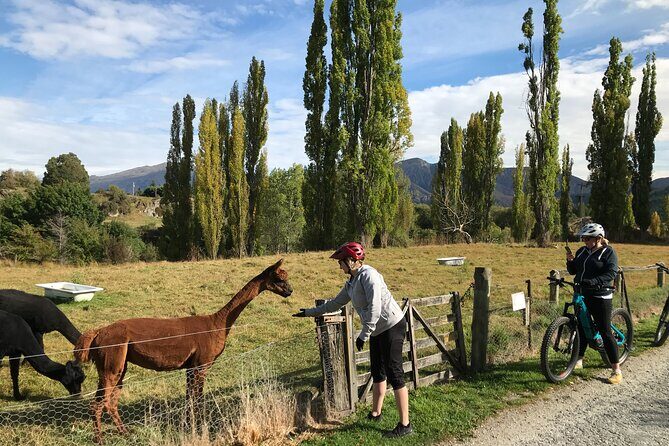 Guided eBike Wine Tour Ride to the Vines - The Itinerary: A Closer Look at What to Expect