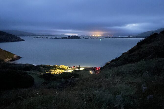 Guided Evening Penguin Viewing Otago Peninsula, Dunedin, New Zealand - Authenticity and Value