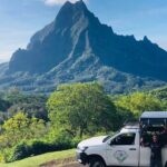 Guided Excursion in 4x4 in Moorea between Land and Sea - Pricing and Value